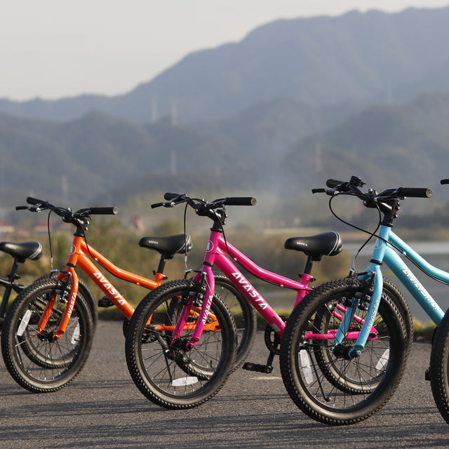 AVASTA bicycles | Kids and adullt bikes | Make cycling accessible ...