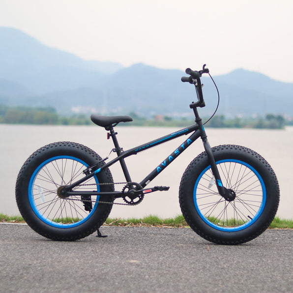 AVASTA bicycles | Kids and adullt bikes | Make cycling accessible ...